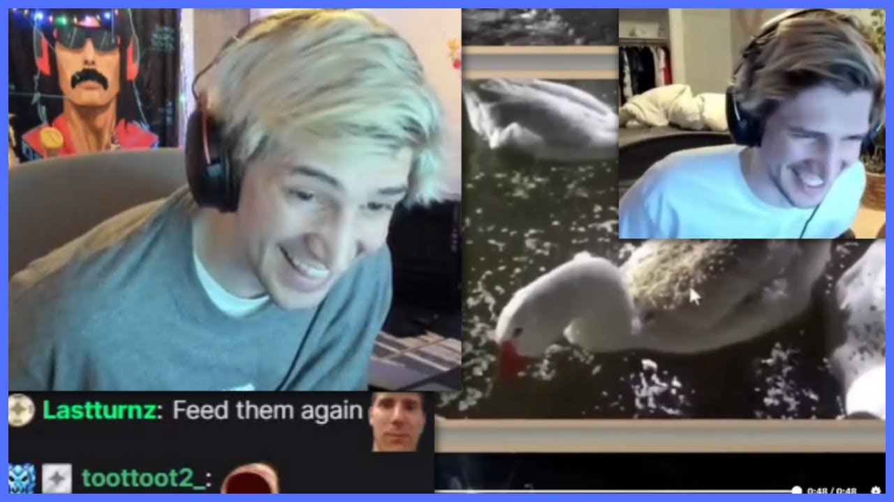 xQc reacts to old xQc force-feeding ducks - YouTube