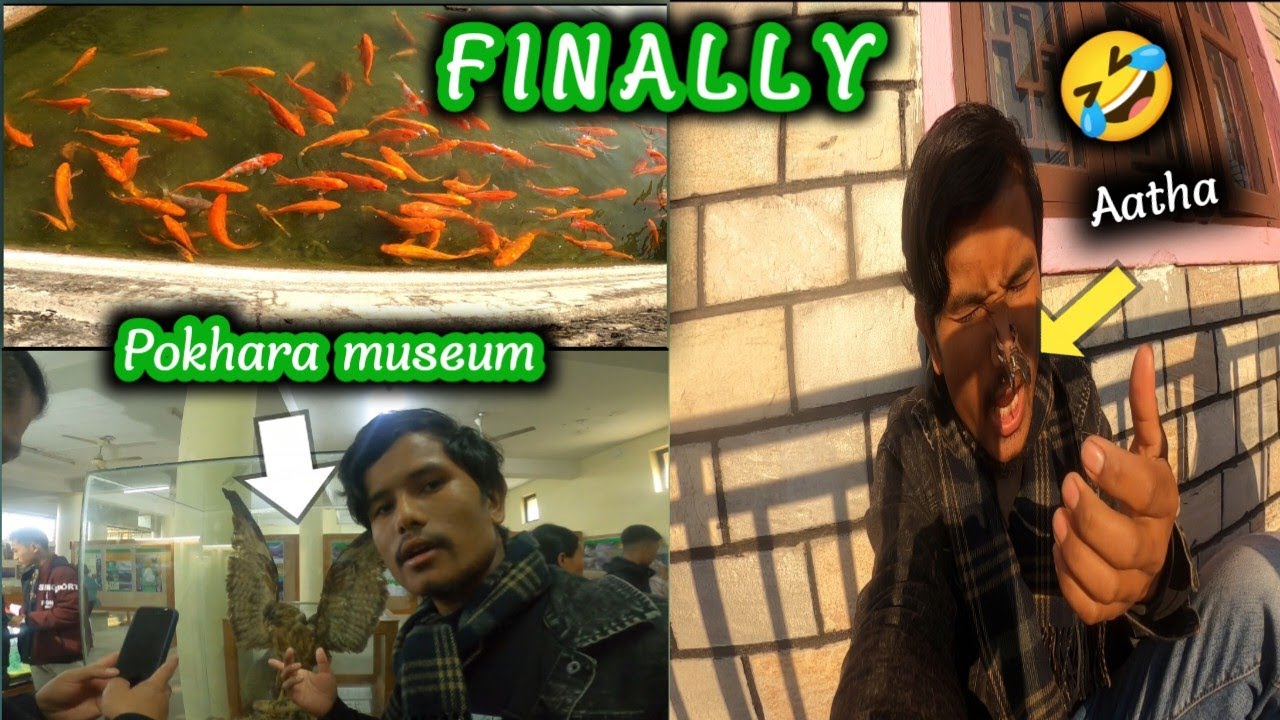 FINALLY pokhara museum 🖼️😱 || Aaiya mero nak🤣 - YouTube