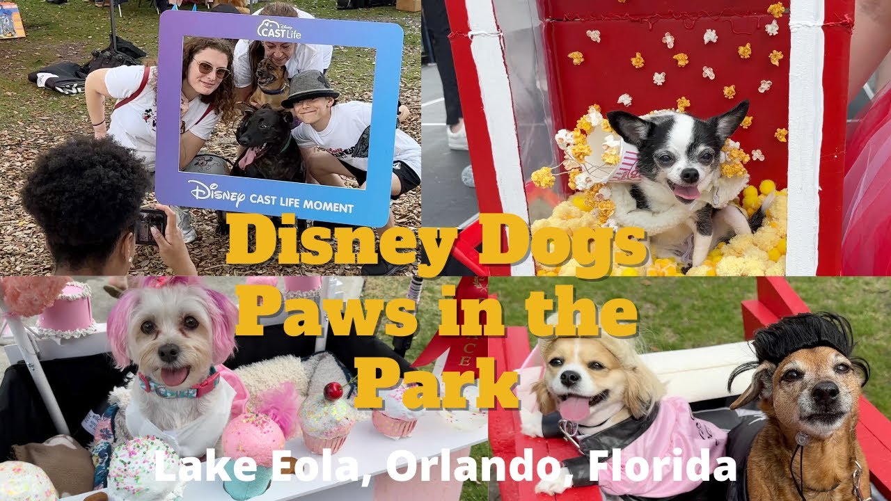 Disney Dogs at Paws in the Park, Lake Eola, Orlando, Florida - YouTube