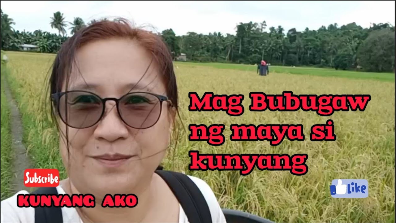 Sumaka Ang Kunyang Pra Mag BUGAW Ng Maya #farming #fun #provincelife # ...