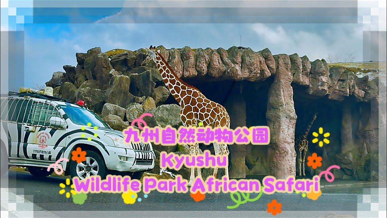 Kyushu Wildlife Park African Safari 🦒九州自然动物公园 - YouTube