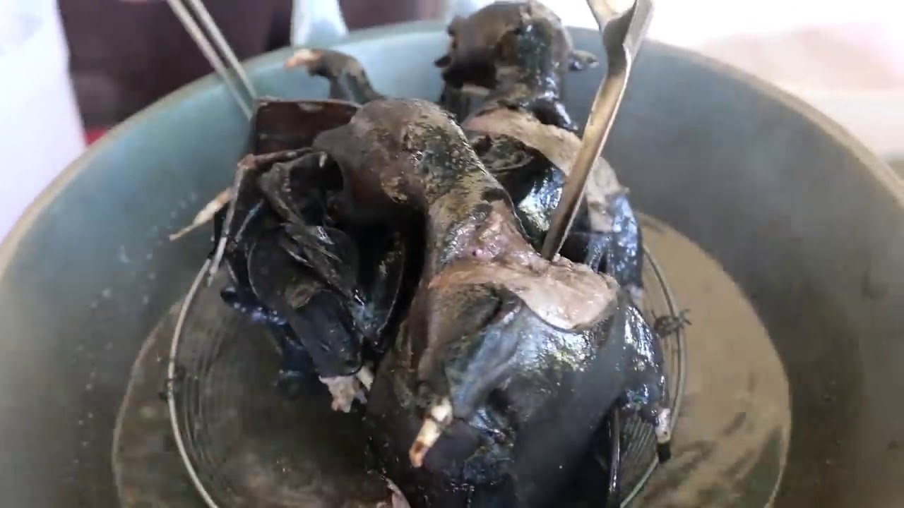Indonesian bat meat - YouTube