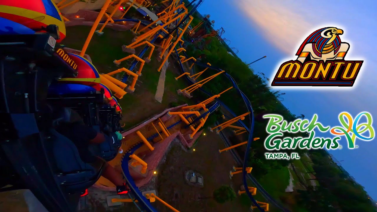 (4K) Montu - Inverted Roller Coaster | Sunset | Back Seat POV | Busch ...