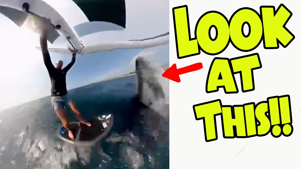 Hit by a Whale!!! - Live interview with Jason Breen - the man himself ...
