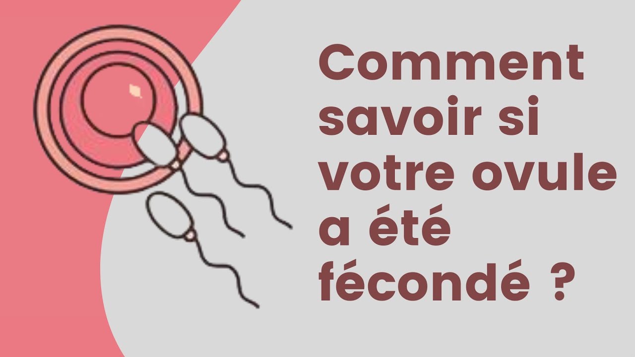 Comment savoir si l'ovule a été fécondé : Les signes d'une fécondation ...