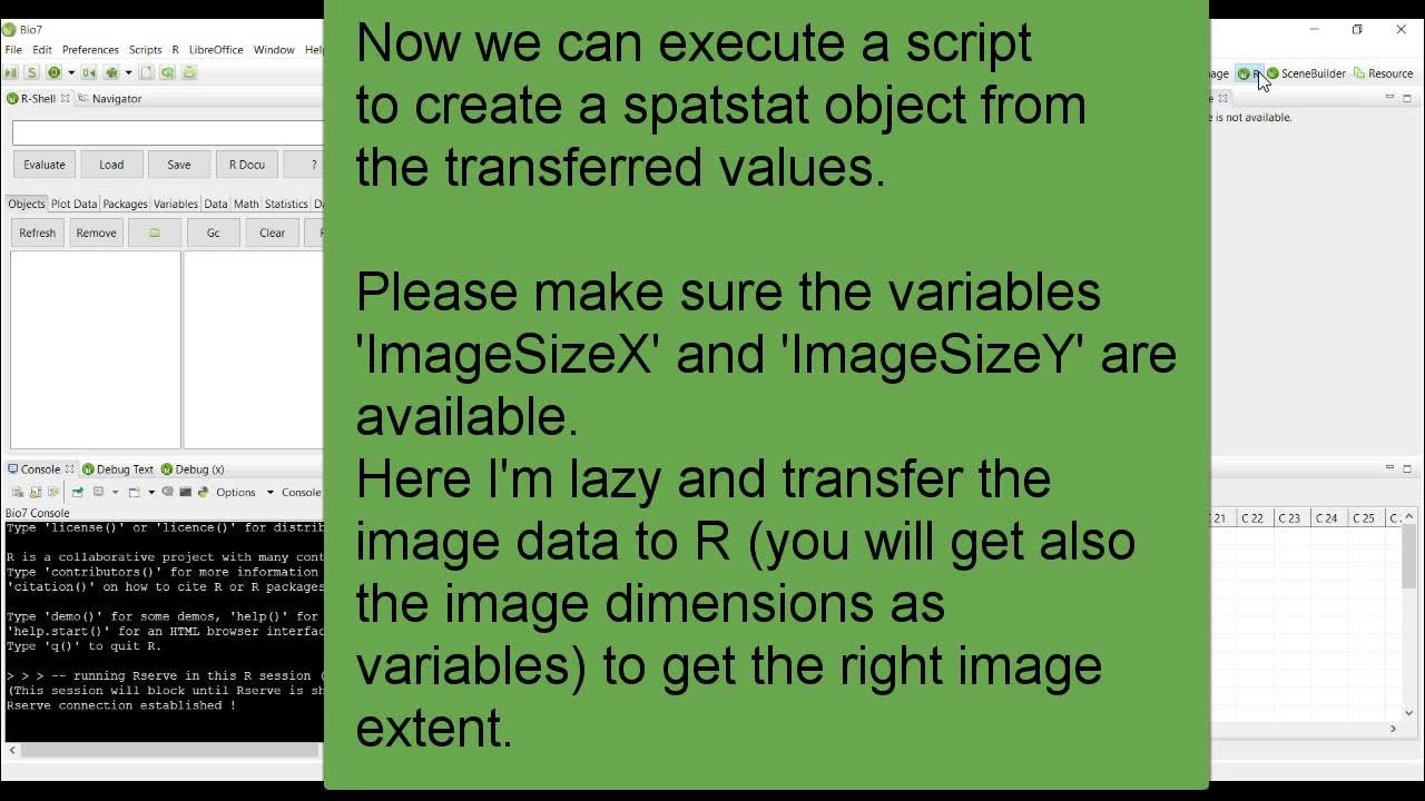 ImageJ Particle Analysis to Spatstat Point Pattern Object - YouTube