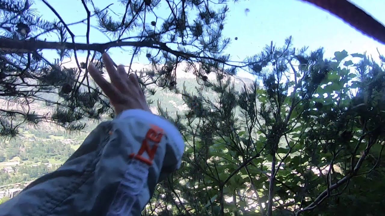 Guy's Parachute Gets Stuck Between The Trees During A Tough Base ...