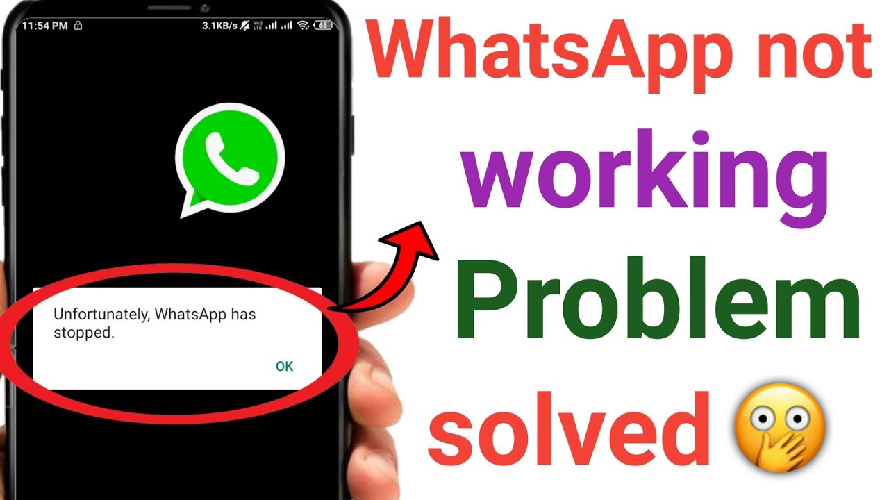 WhatsApp not working problem solved | WhatsApp has been closed problem ...