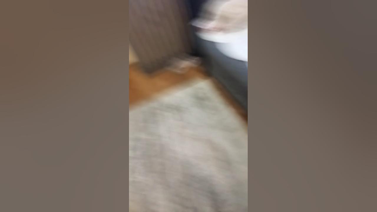 2025 m. kovo 5 d. - YouTube