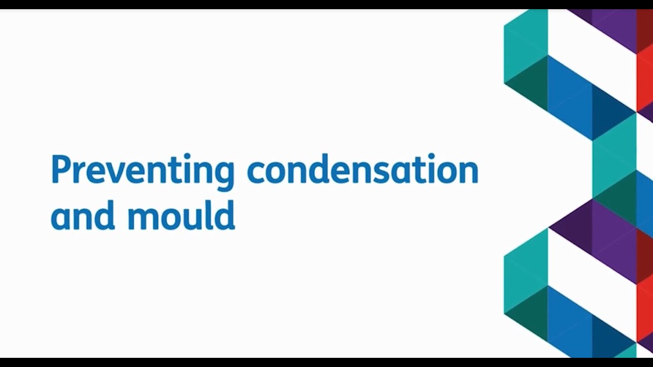 Network Homes guide to preventing condensation and mould - YouTube