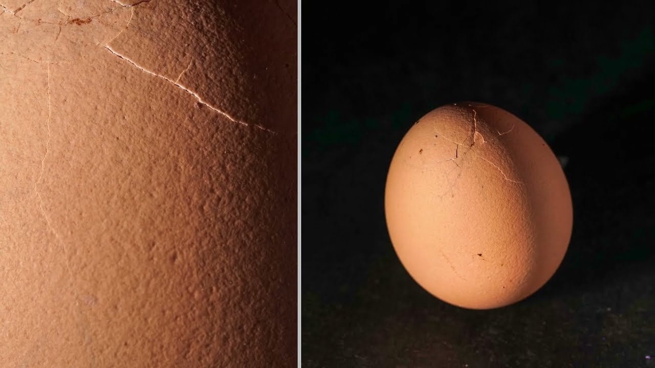 the beauty of everyday objects - Macro Photography - YouTube