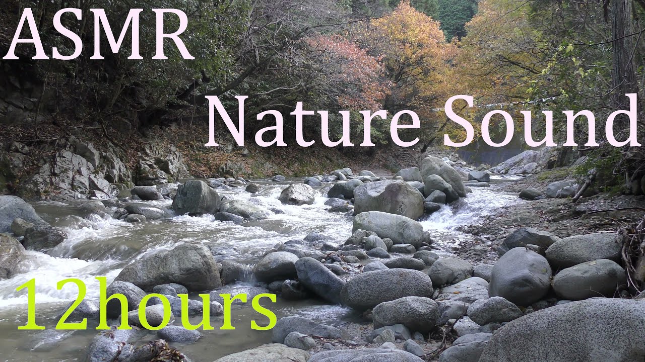 【relax】【ASMR】Nature sound - YouTube