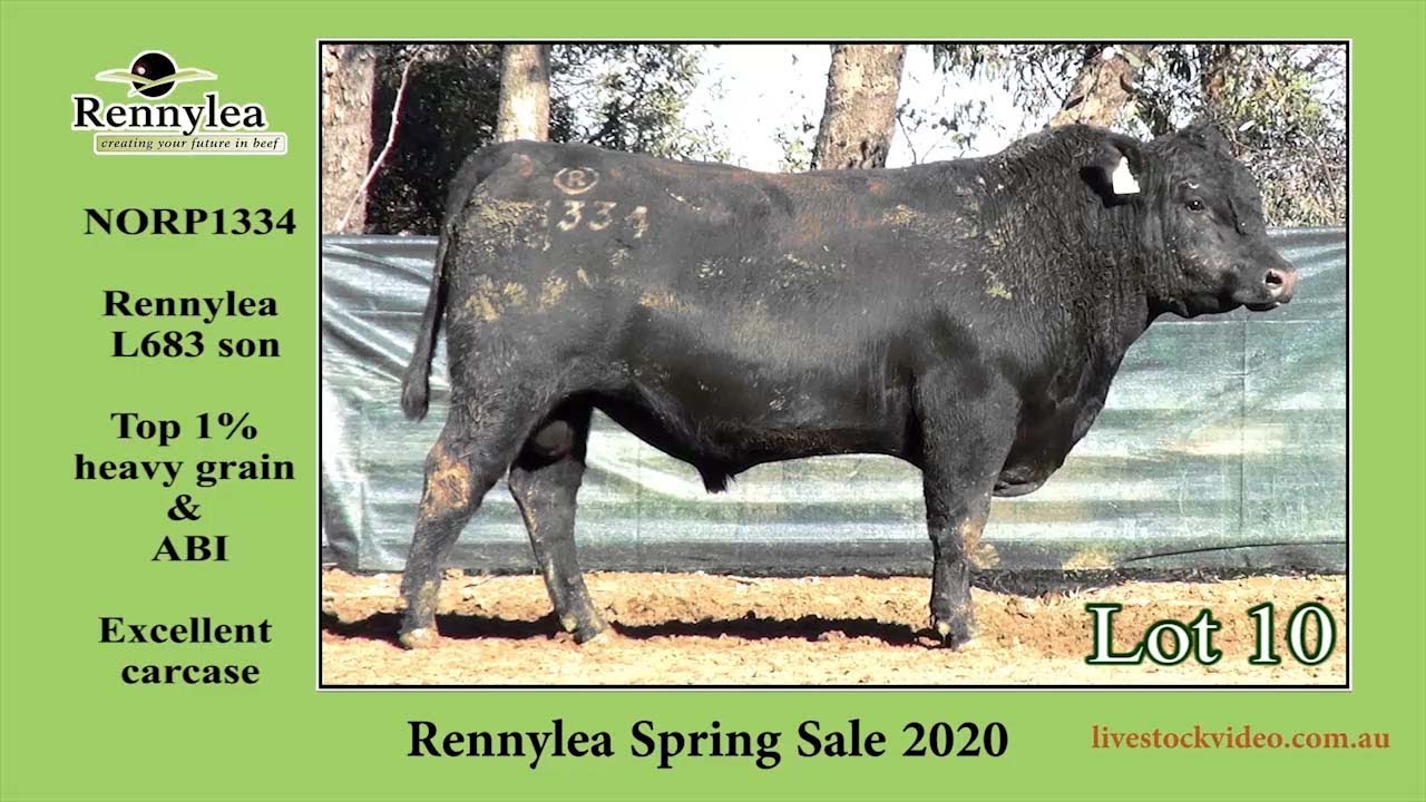 Lot 10 Rennylea Spring 2020 - YouTube