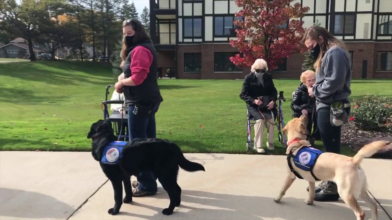 Paws With A Cause dog parade at assisted living facility - YouTube