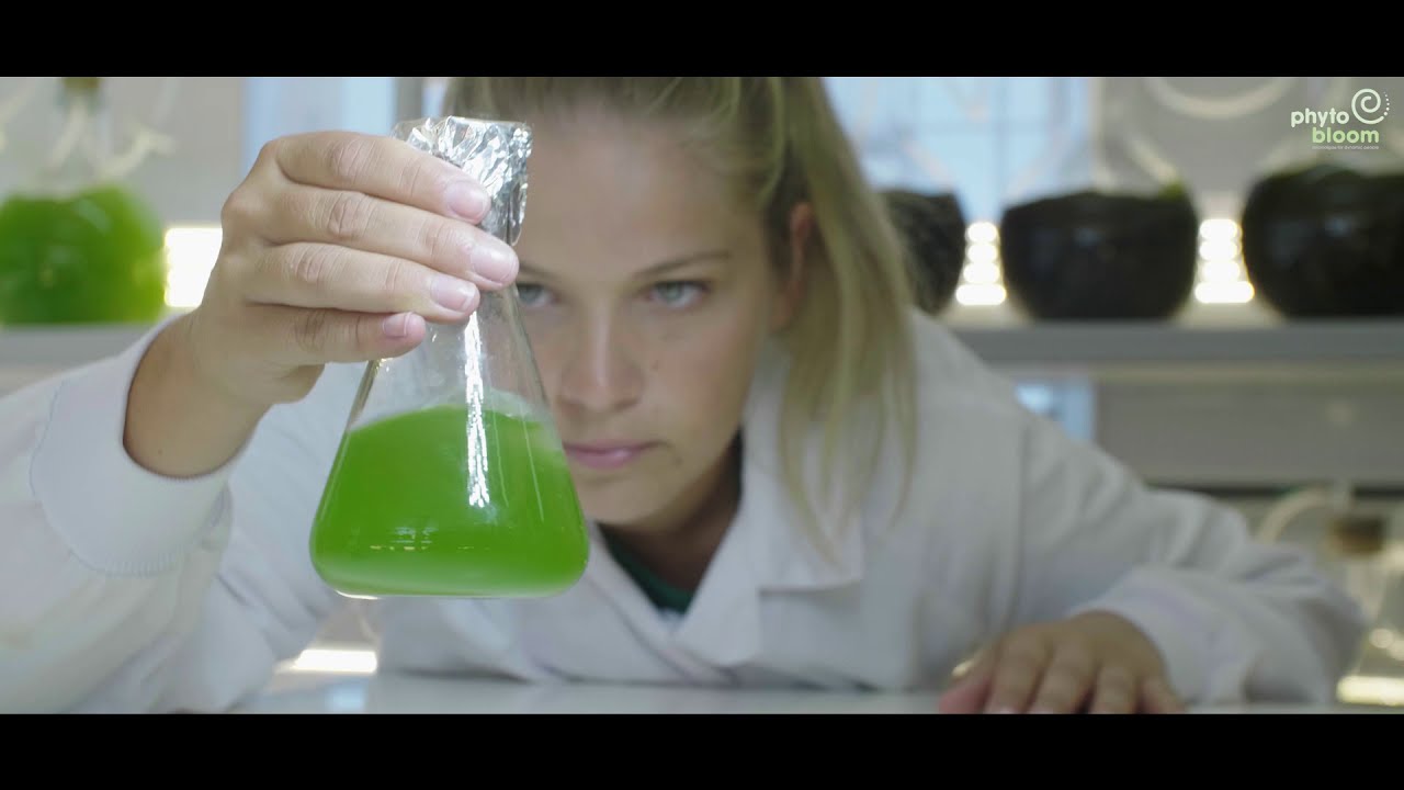 PhytoBloom® - Microalgae by Necton - YouTube