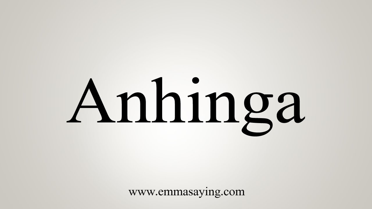 How To Say Anhinga - YouTube
