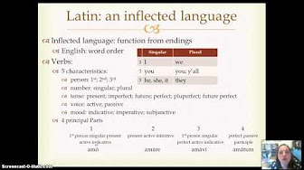 Wheelock's Latin Chapter Videos - YouTube
