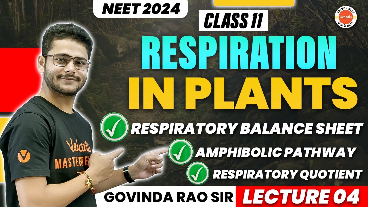 Respiration in Plants Class 11 Chapter 14 | Respiratory Balance Sheet ...