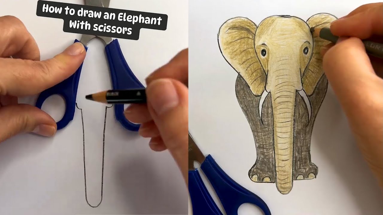 Easy Drawings Ideas for Kids | How to Draw an Elephant with Scissors ...
