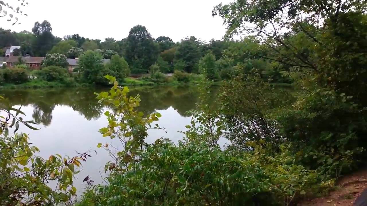 Old Cossey Pond - YouTube