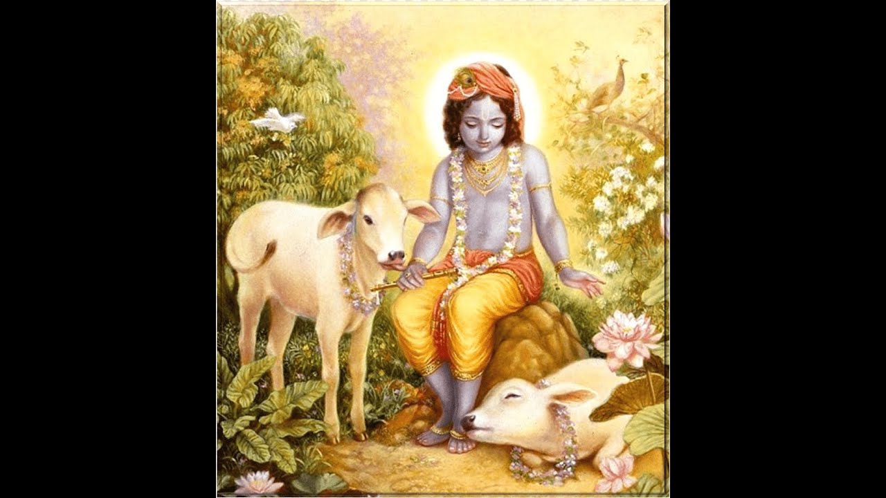 Krishna Darshan, 27 Nov 2021 - YouTube