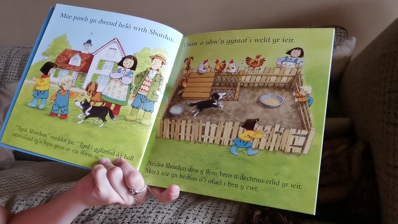 Helynt y Ci Defaid - YouTube