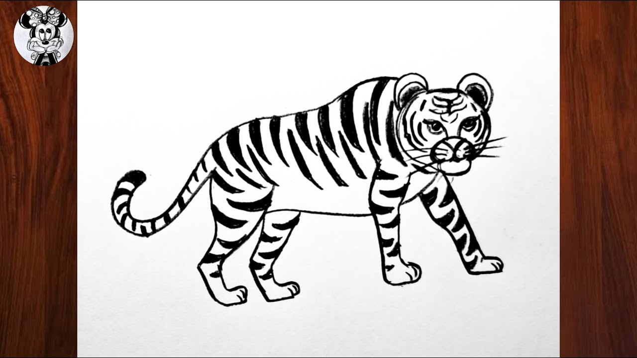 How to draw Tiger full body | Tiger Drawing 🐯 most simple ever for ...