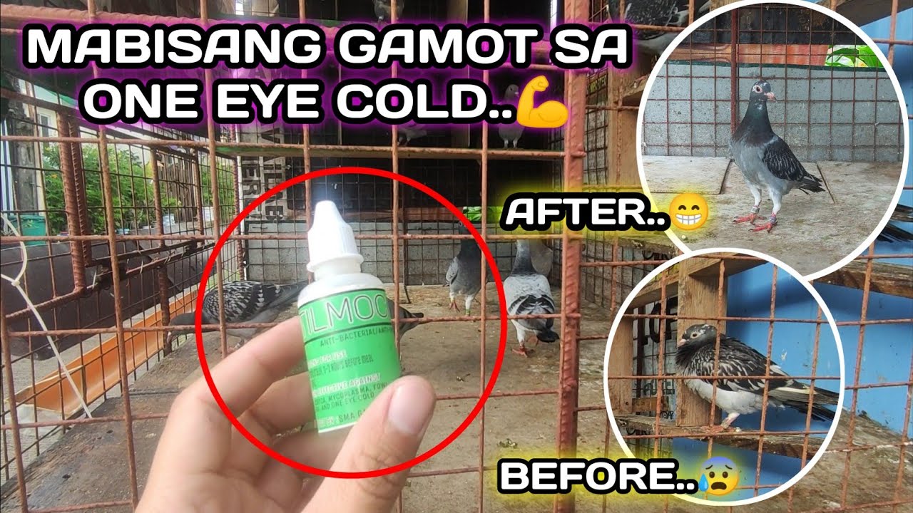MABISANG GAMOT SA ONE EYE COLD..💪 - YouTube
