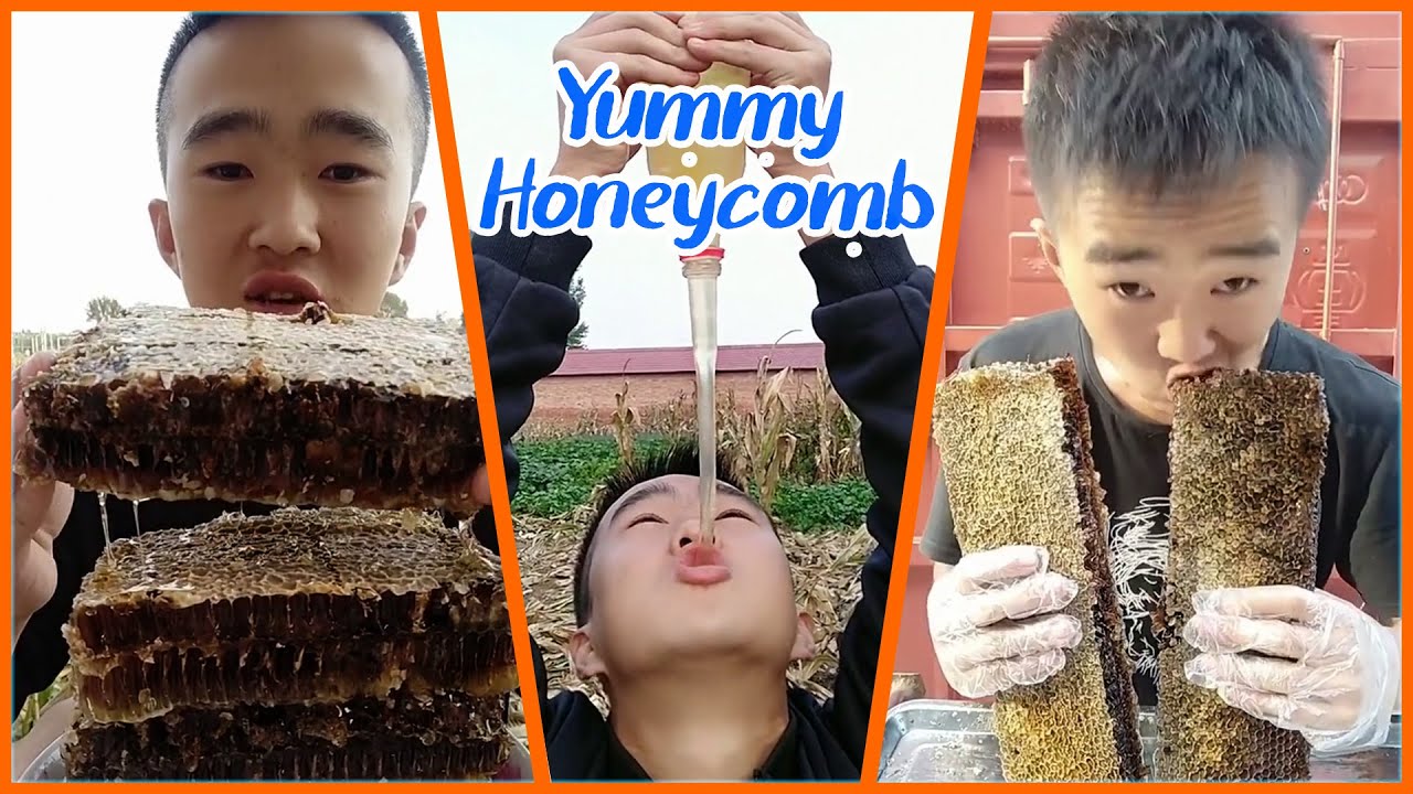 ABS Honey BEE | Best HoneyComb Eating ASMR | Honey Eating Show 🎖️34 ...