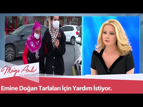 Emine Doğan tarlaları için yardım istiyor. - Müge Anlı İle Tatlı Sert 1 Aralık 2020