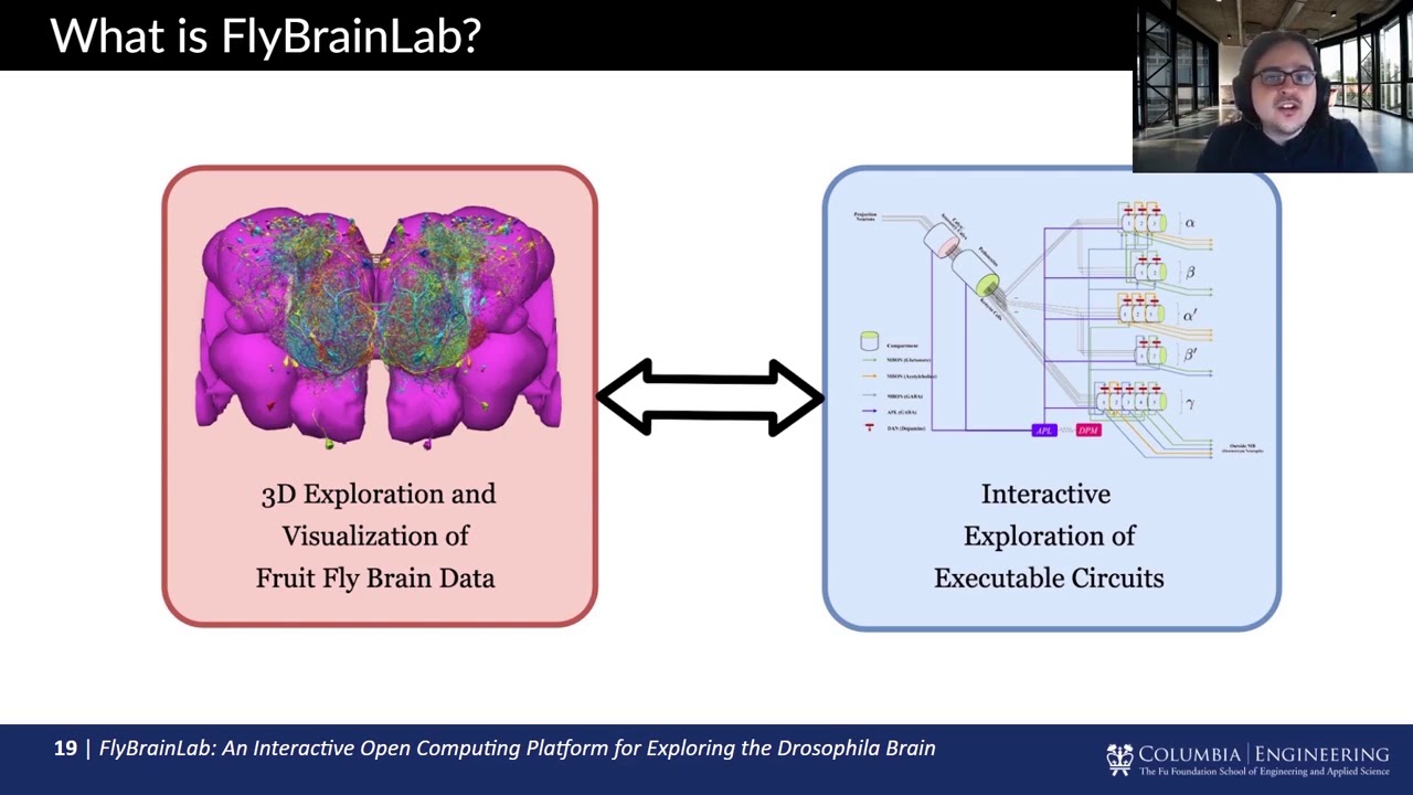 Mehmet Kerem- FlyBrainLab: An Interactive Open Computing | PyData Global 2020 - YouTube