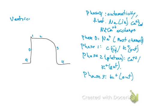 Anti-arrhythmic’s sodium channel blocker’s class 1A part 1 - YouTube