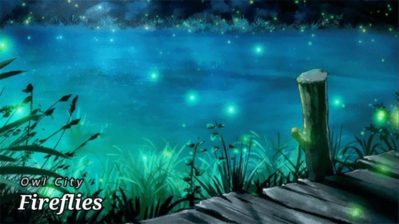 Fireflies - Owl City - Kaleigh (Cover) (Lyrics) - YouTube