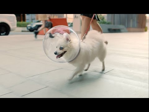 Oksijen Hesap - ODEABANK Reklamı 👩🏻‍🚀👨🏼‍🚀