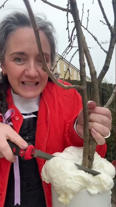 Craft a Cute Easter Tree: Twigs & Foam Fun! Make a springtime Easter tree using twigs, perfect ...