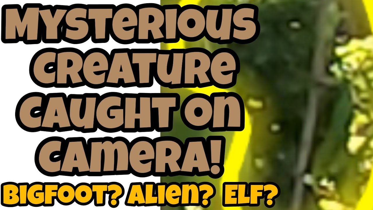 mysterious creature caught on camera! alien sighting elf cryptid creepy ...
