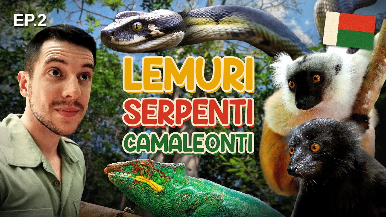 Esplorando la FORESTA di LOKOBE in Madagascar 🐒 Nosy Be Ep.2 - YouTube