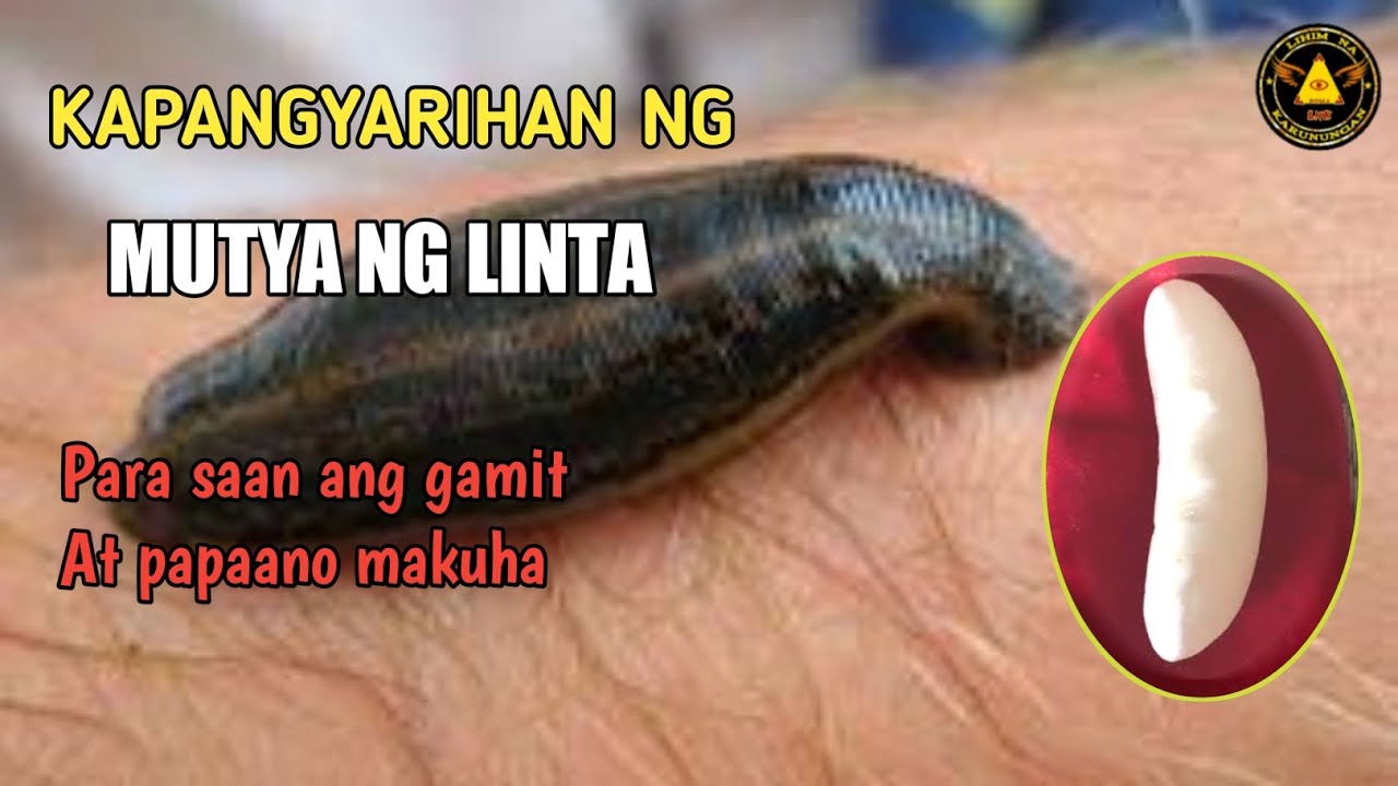 Kapangyarihang Taglay ng Mutya ng Linta - YouTube