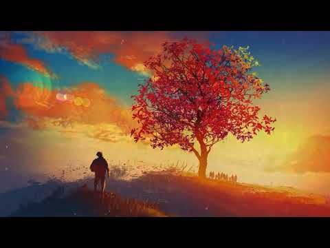 Səadət Nuğay - Gəlmə (Söz: Orxan Bahadırsoy)