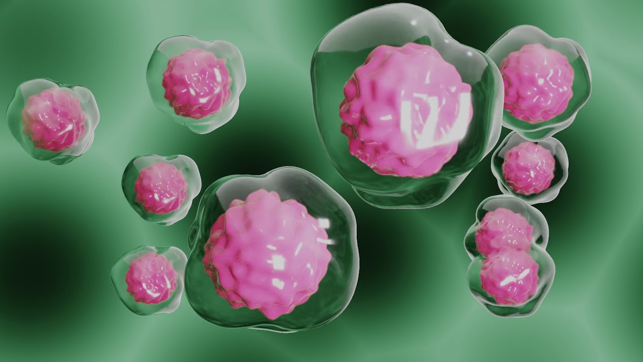 Stem cells Animations made in evee - YouTube