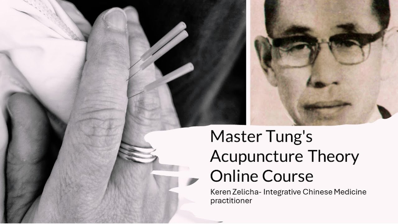 Best Master Tung's Acupuncture Theory Online Course - YouTube
