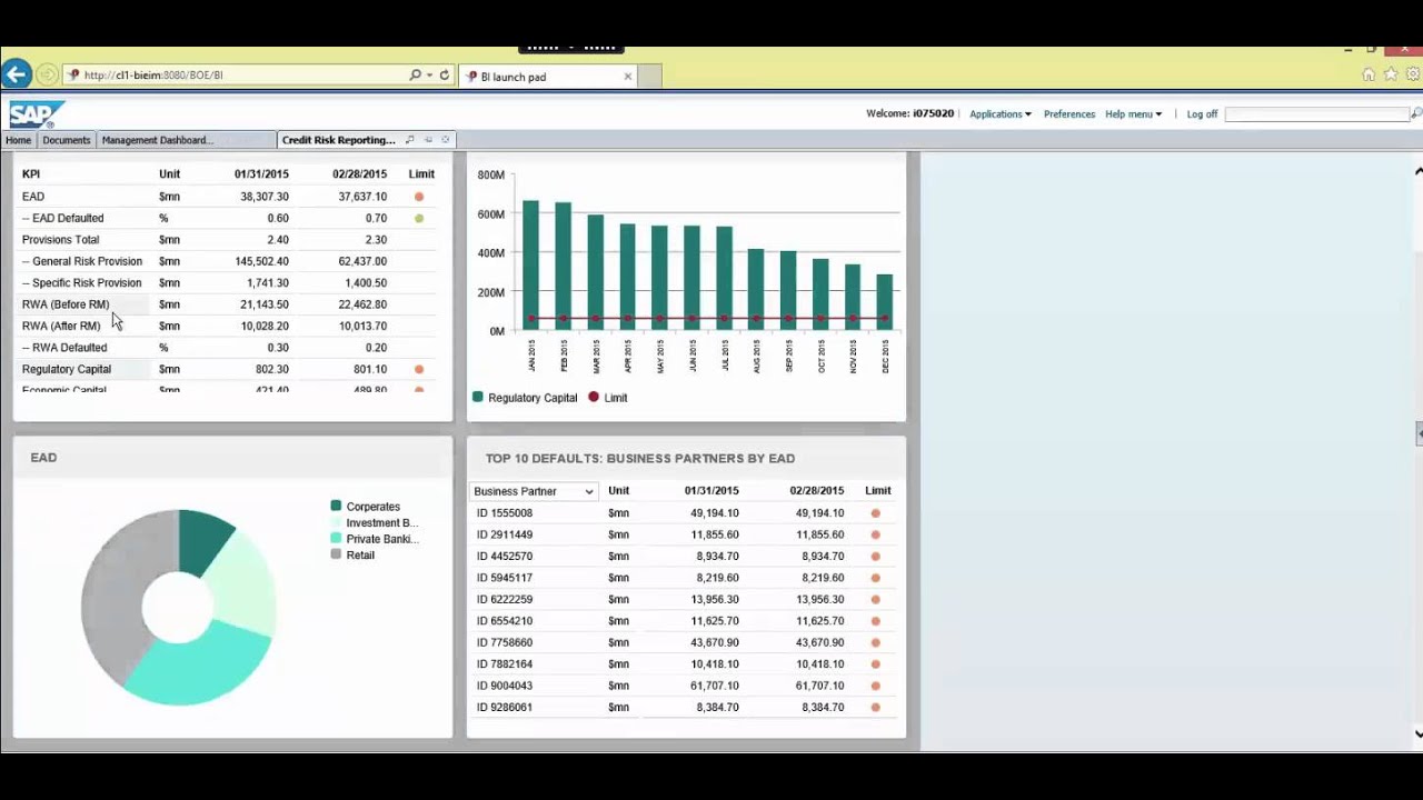 SAP Bankers Dashboard - integration with self service and reporting ...