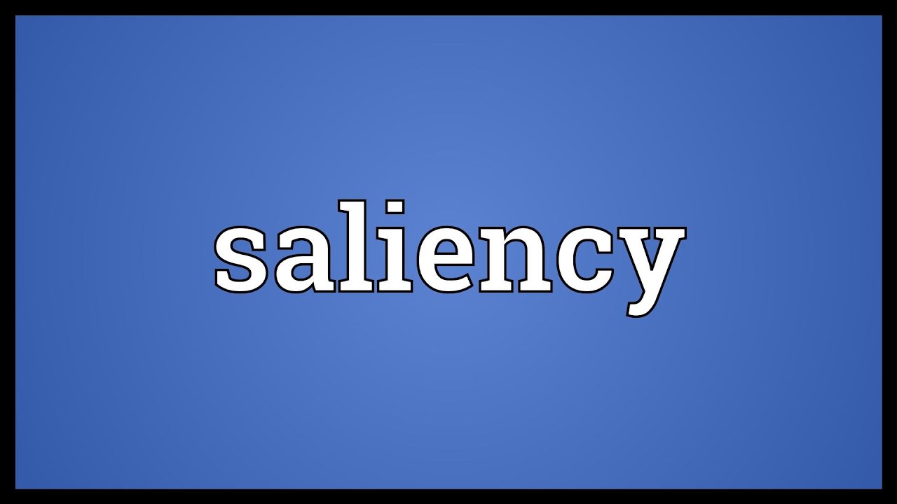 Saliency Meaning - YouTube