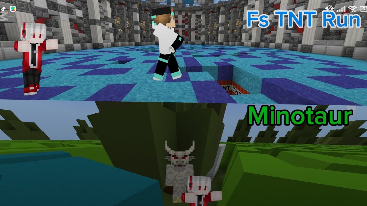 Мы решили поиграть в эти карты под названием || sg Minotaur и в Fs TNT ...