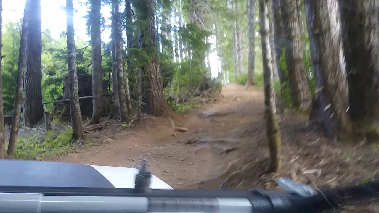 Cedar Tree Trail Browns Camp OHV - YouTube
