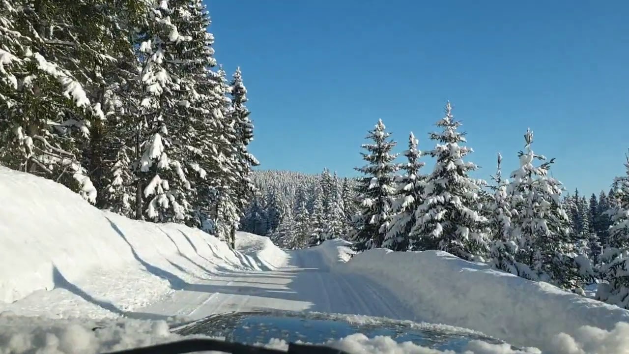 Forest. Winter .Norway .Off Road. - YouTube