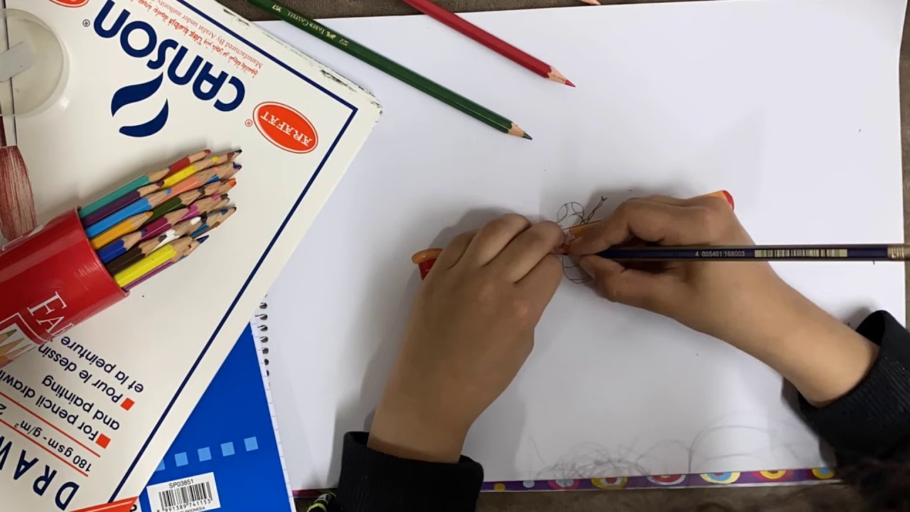 How To Draw A Housefly YouTube how-to-draw-a-housefly-youtube
