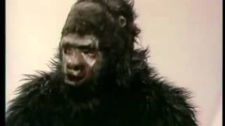 Gerald Fielding | Female.com.au