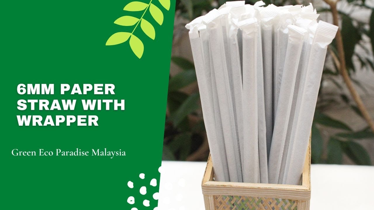 Disposable Paper Straw with Wrapper for Cafes and Bars - YouTube