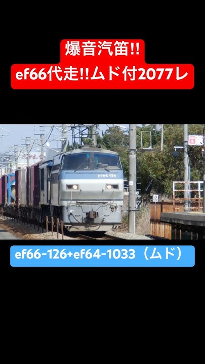 ef66が2077レを代走？！#ef66サメ #ef64 - YouTube